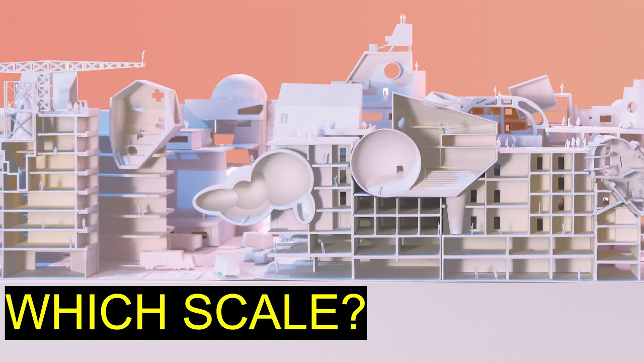 THE FUNCTION OF SCALE