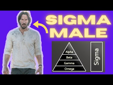 Sigma male hindi. Sigma male explained in Hindi. सभी पुरुषों में सबसे दुर्लभ