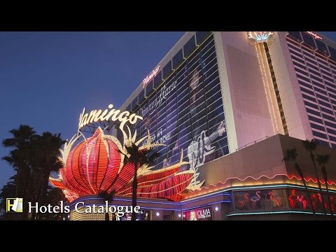 Flamingo Las Vegas Hotel - Caesars Entertainment - Las Vegas Hotel Tour