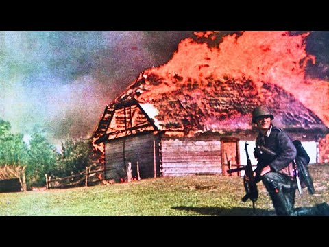 Why the USSR Burned Everything: The Scorched Earth Tactic Explained