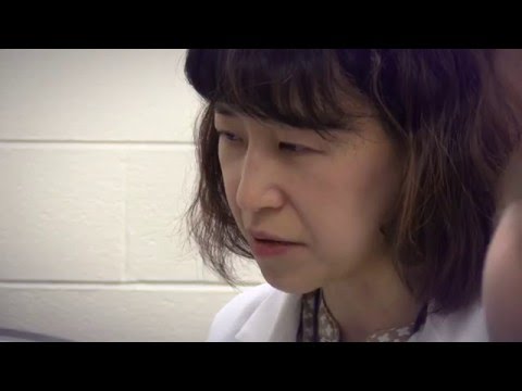 Researcher Profile: Dr. Yunjeong Kim
