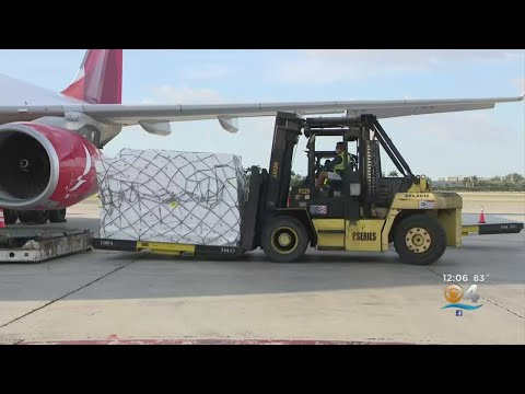 COVID-19 Is Creating A Cargo Flight Boom At Miami International Airport