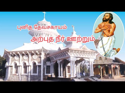 St Devasahayam Shrine Puliyoorkurichi #saint #catholic #church #devasahayampillai #history #tamil
