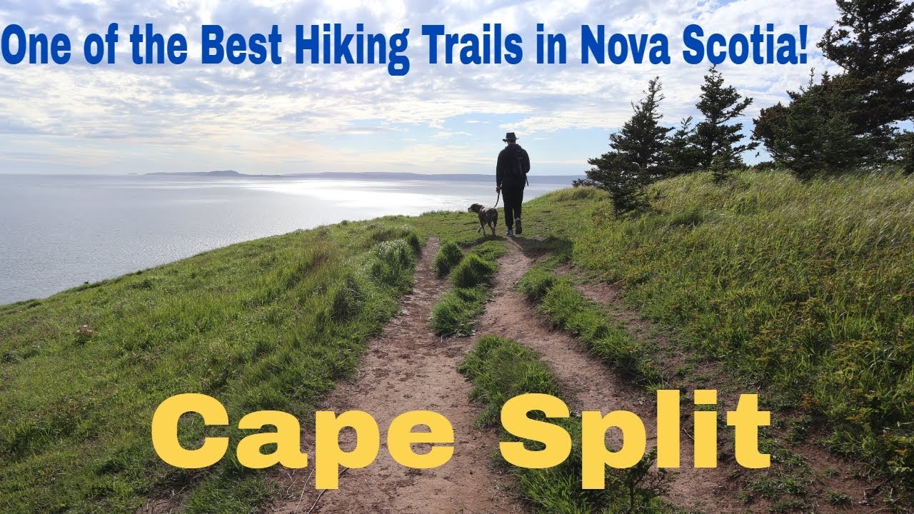Hiking Cape Split Provincial Park Trail