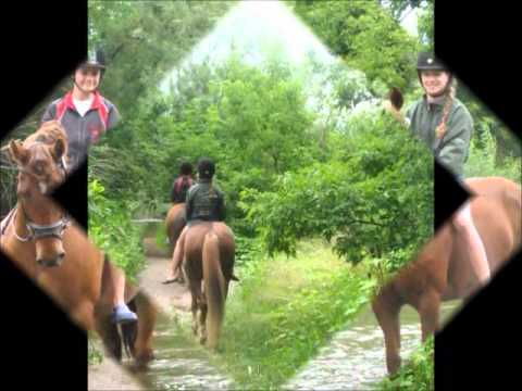Slideshow D and D stables part 2