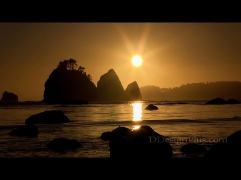 Pacific Ocean, La Push to Goodman Creek Hike - Washington State