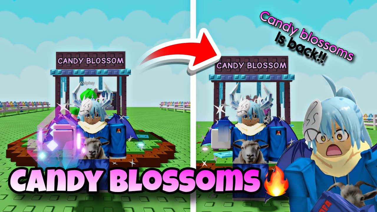 CANDY BLOSSOMS SEED IS BACK🔥Full Guide | Grow a Garden