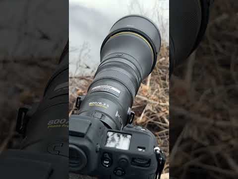 Nikon z9 with Nikon Nikkor z 800mm f/6.3 Vr lens