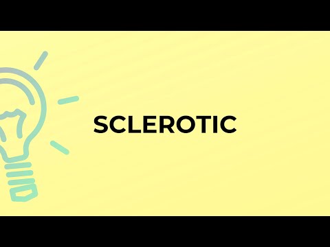 What is the meaning of the word SCLEROTIC?