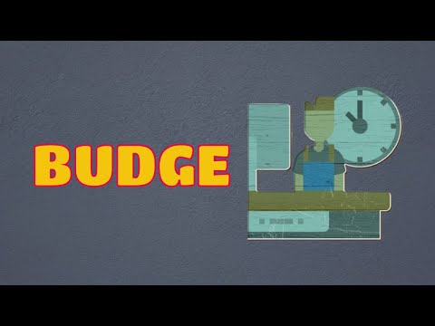 What Does BUDGE Means || Meanings And Definitions With Example in ENGLISH