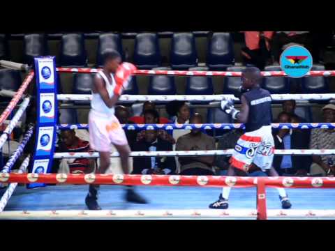 Explosive Fight Night: Young boxers show talent