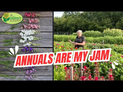 Annuals Are My Jam: The Secrets to Profitable Flower Farming
