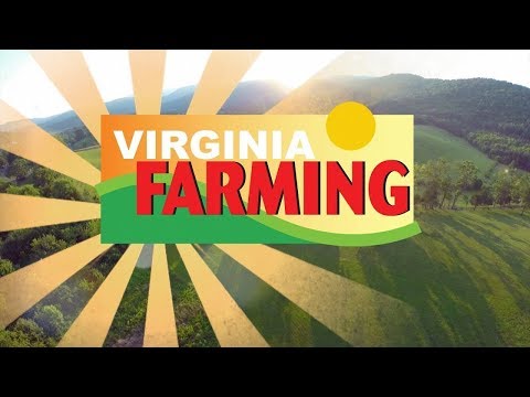 Virginia Farming: FFA History