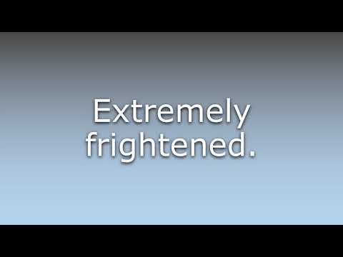 What does Terrified mean?
