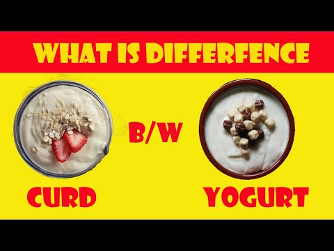 [HINDI ] What is Difference Between Curd and Yogurt ?