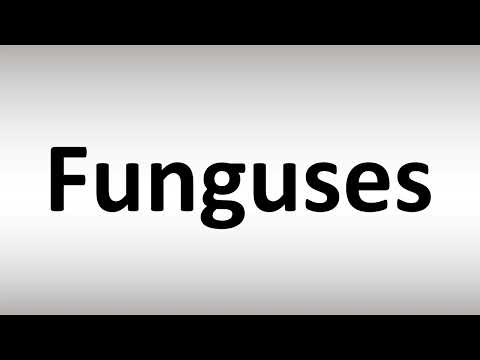 How to Pronounce Funguses