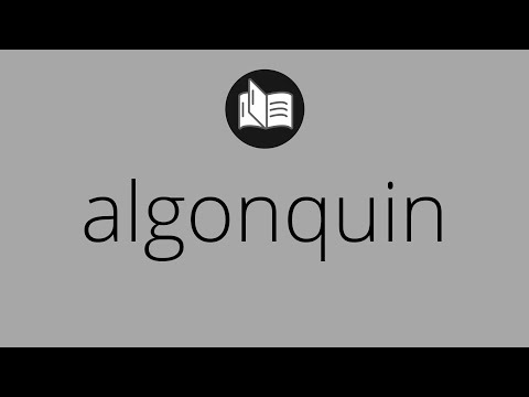 What ALGONQUIN means • Meaning of ALGONQUIN • algonquin MEANING • algonquin DEFINITION