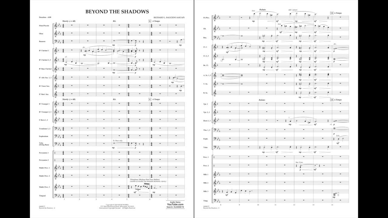 Beyond the Shadows by Richard L. Saucedo