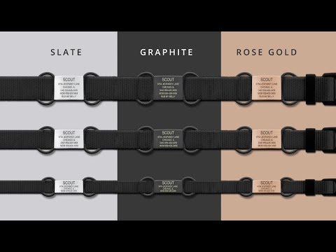 DOG iD | How To Find the Right Fit & Attach the Tag to Your Dog's Collar