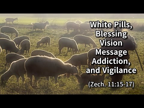 White Pill, Blessing Vision Message Addiction, and Vigilance (Zech. 11:15-17) (11/24)