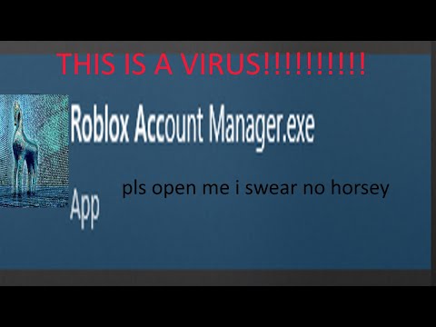alternative to roblox account manager