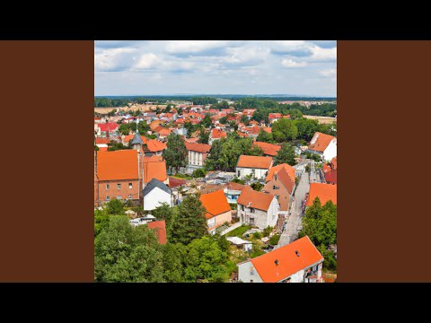 Dron sky