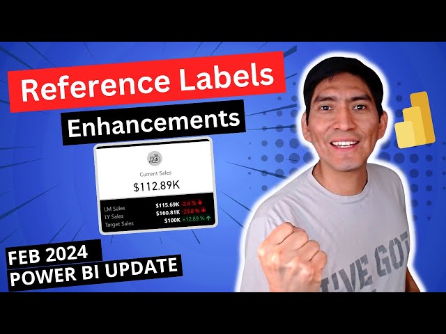 Exploring the Latest Improvements for Reference Labels in Power BI ...