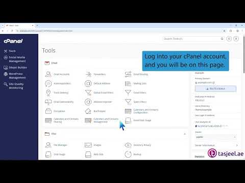 How to add CNAME Record in cPanel using the DNS Zone Editor with tasjeel