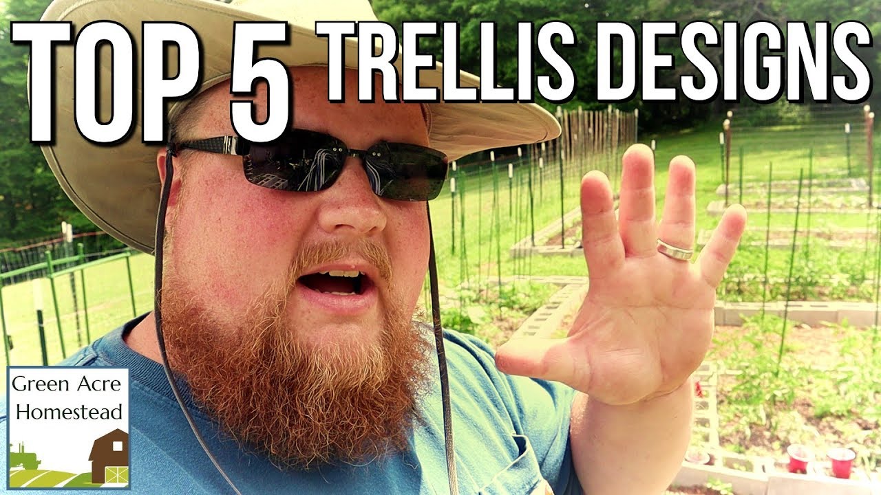 Top 5 Garden Trellises that Work!!!  |  Gardening  |  Homesteading