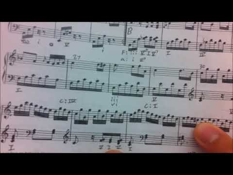 Music Theory Analysis of Fur Elise