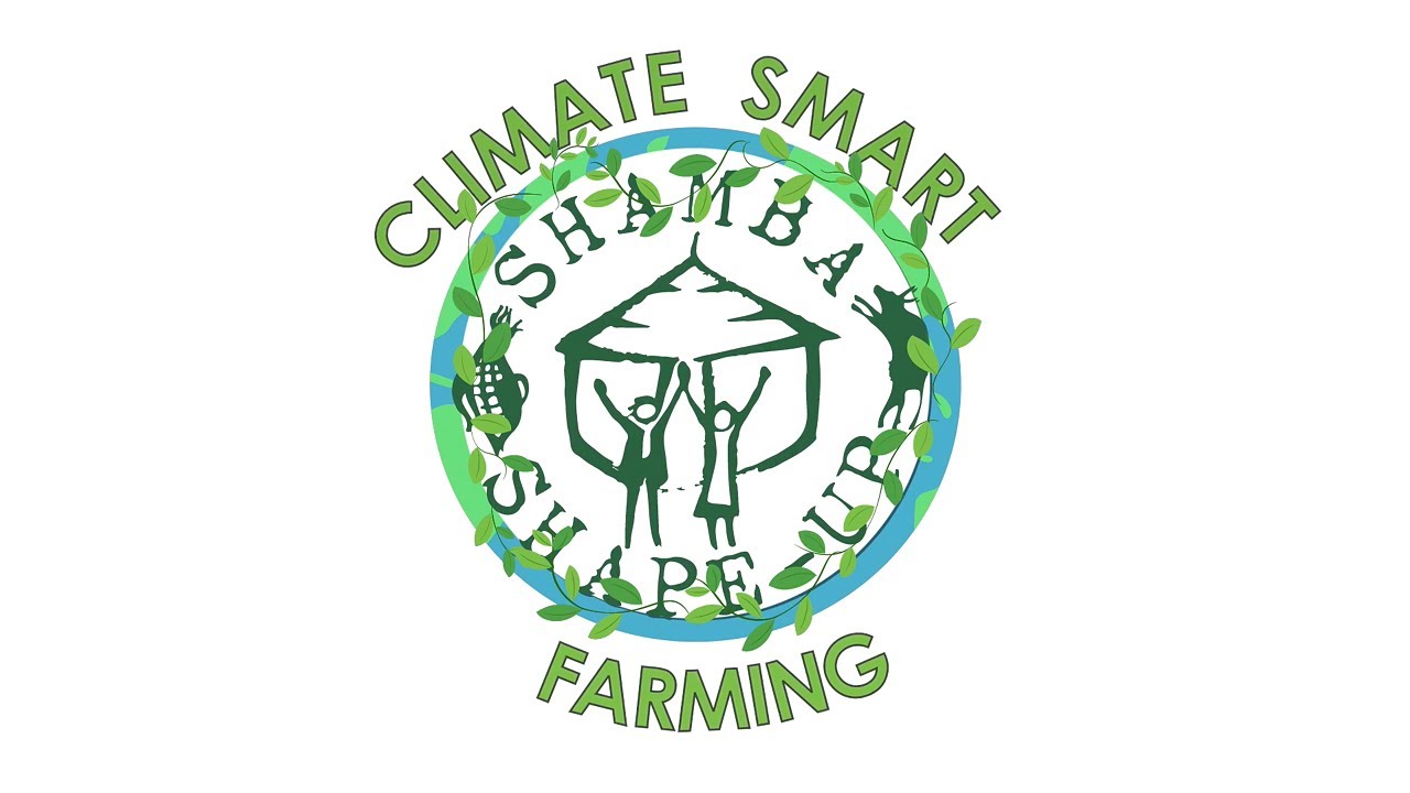 CSA Introduction (Eng)