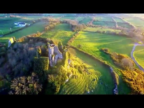 Carrigogunnell Castle