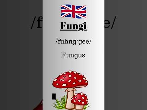 How to Pronounce Fungi Correctly-British Accent #britishpronounciation #english