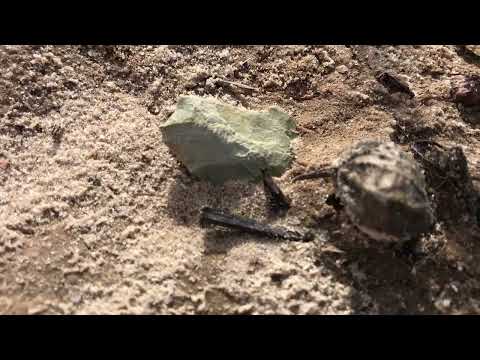 A Nice Butt! ~ 506. Indian Artifact Finds! DEC 2023