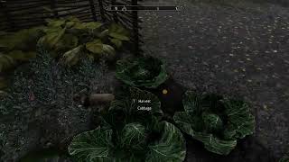 Cute Bunny nsfwnsfw at Skyrim Special Edition Nexus - Mods and Community