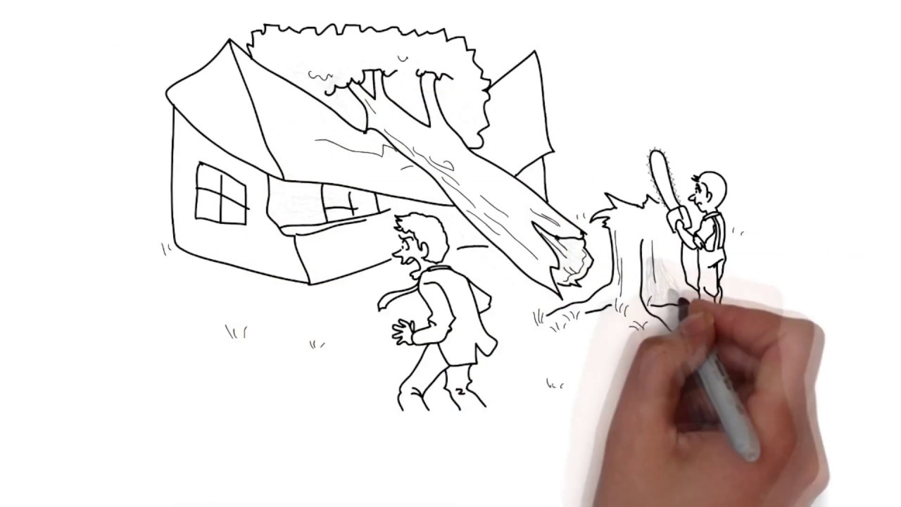 Tree Removal in Leominster MA -- Timber Pros Call 978-350-3903