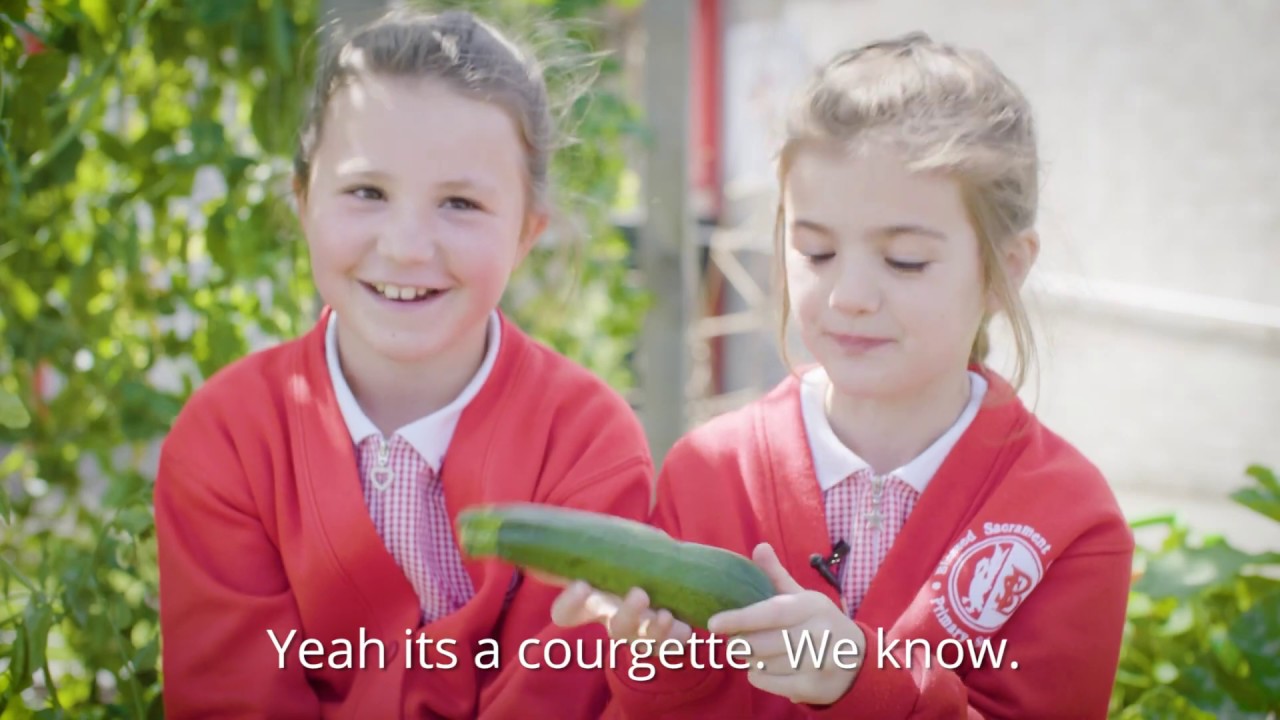 Edible Playgrounds | Trees for Cities