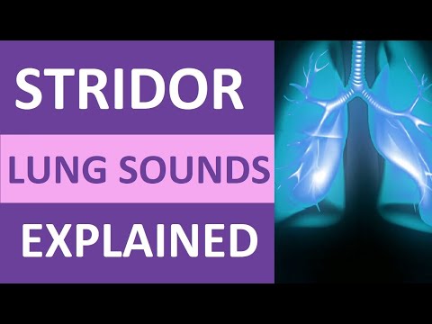 Stridor Lung Sound Audio Nursing NCLEX Review | Stridor Breath Sounds #nursing