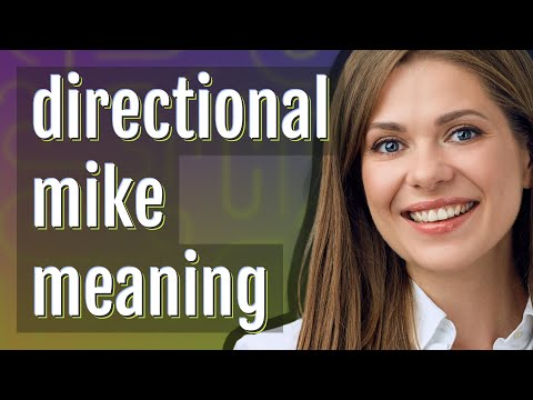Directional mike | meaning of Directional mike
