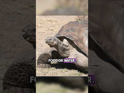 fascinating animal facts that will make you think twice!