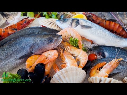 Diet and Amyotrophic Lateral Sclerosis (ALS)