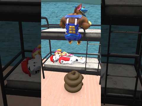 PAW Patrol: Best Scenes โบ Chase Teases Marshall & Skye #shorts #funny