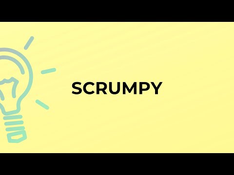 What is the meaning of the word SCRUMPY?