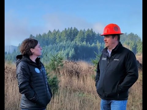 Ask a Forester: What is a working forest?