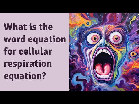 What is the word equation for cellular respiration equation?