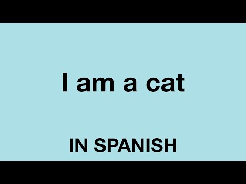 How To Say (I am a cat) In Spanish