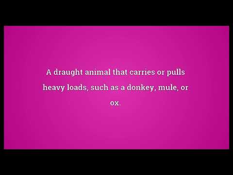 Beast of burden Meaning