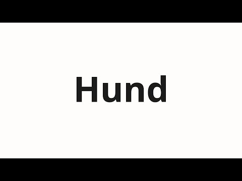 How to pronounce Hund