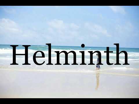 How To Pronounce HelminthππππππPronunciation Of Helminth