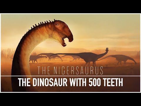 Nigersaurus: The Dinosaur with 500+ Teeth | Dinosaur Documentary